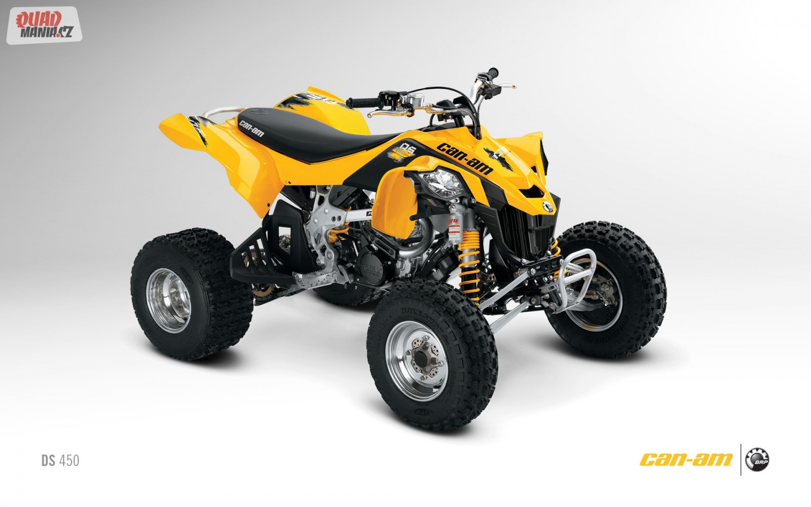Can-Am DS 450/X katalog čtyřkolek, quad katalog